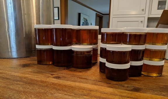 How to Start Beekeeping at Home as a Beginner (Step by Step Guide)