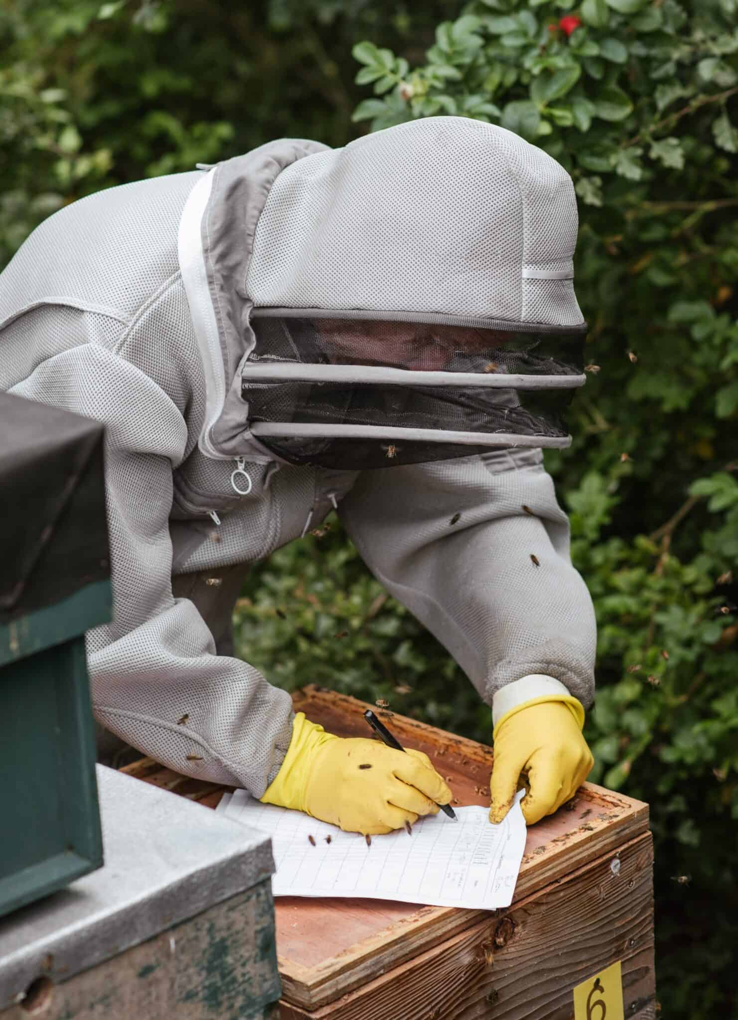 Best Beekeeping Suits To Keep You Safe - Beekeeping 101