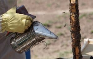 The Art Of Using Bee Skeps In Traditional Beekeeping - Beekeeping 101