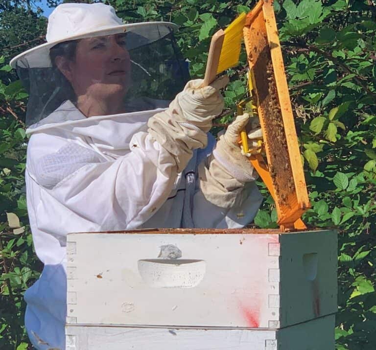 What Is A Langstroth Hive? - Beekeeping 101